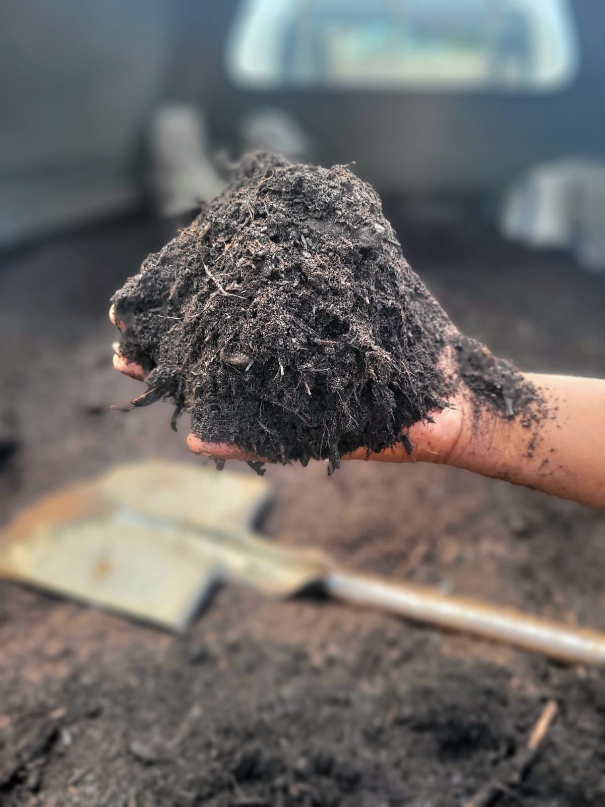 Mulch Magic: How to Choose the Best Covering for a Healthier Garden